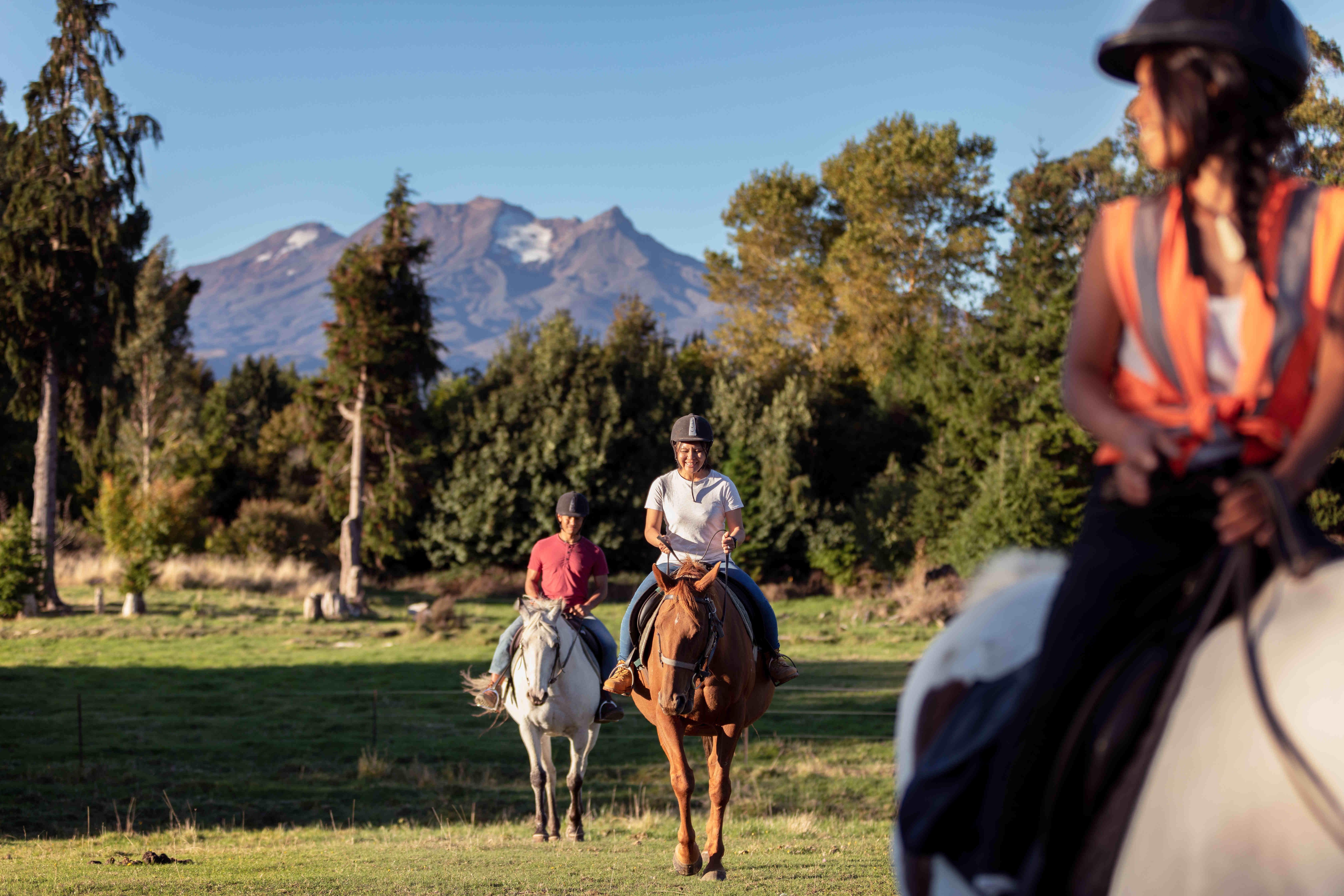 Horse Trekking Visit Ruapehu
