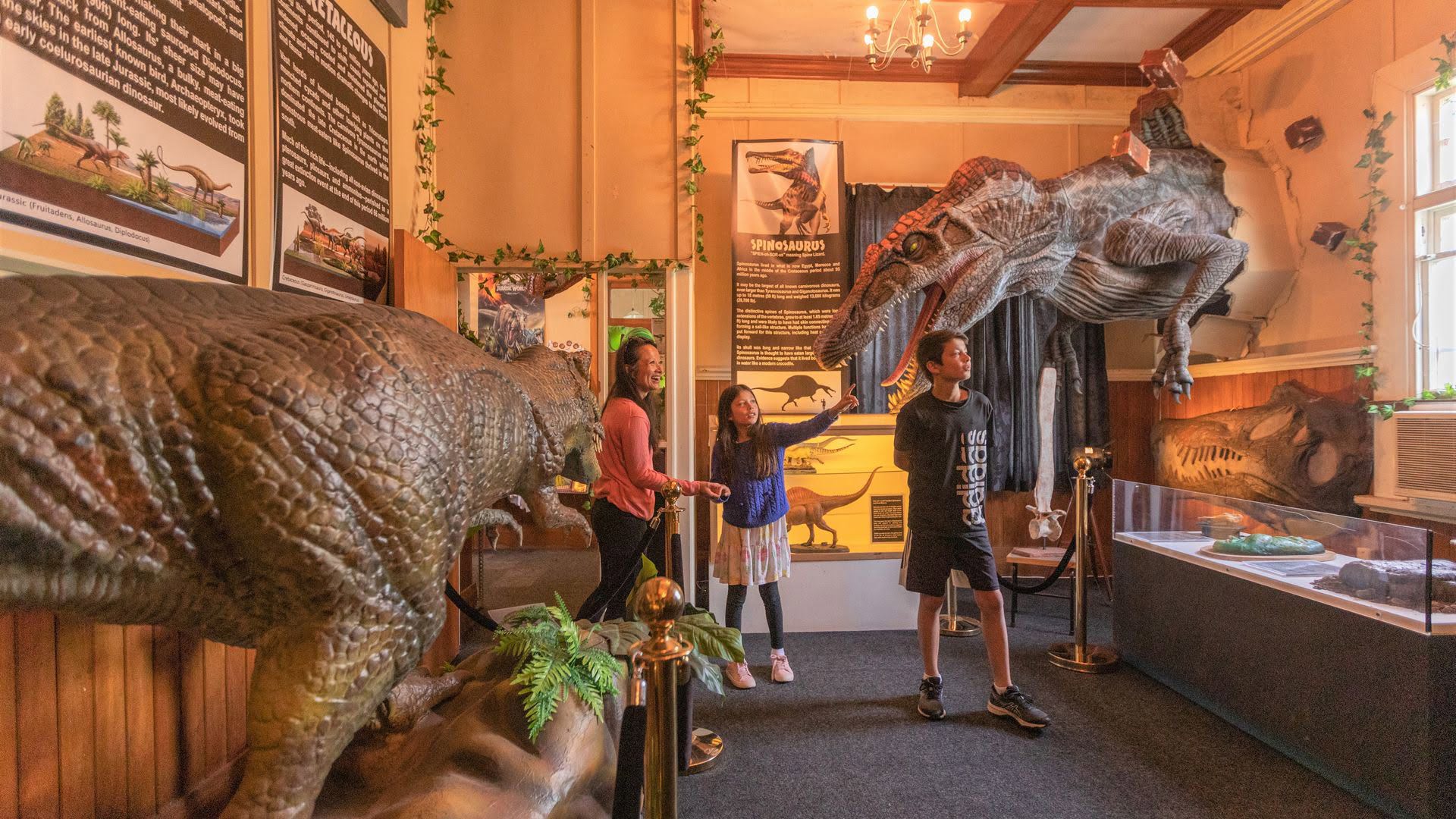 Enjoy a Family Special at The Dinosaur House Visit Ruapehu
