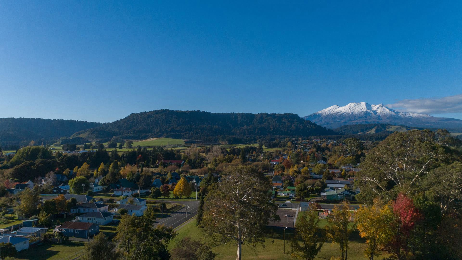 Things To Do in Ohakune - Top Attractions | Visit Ruapehu