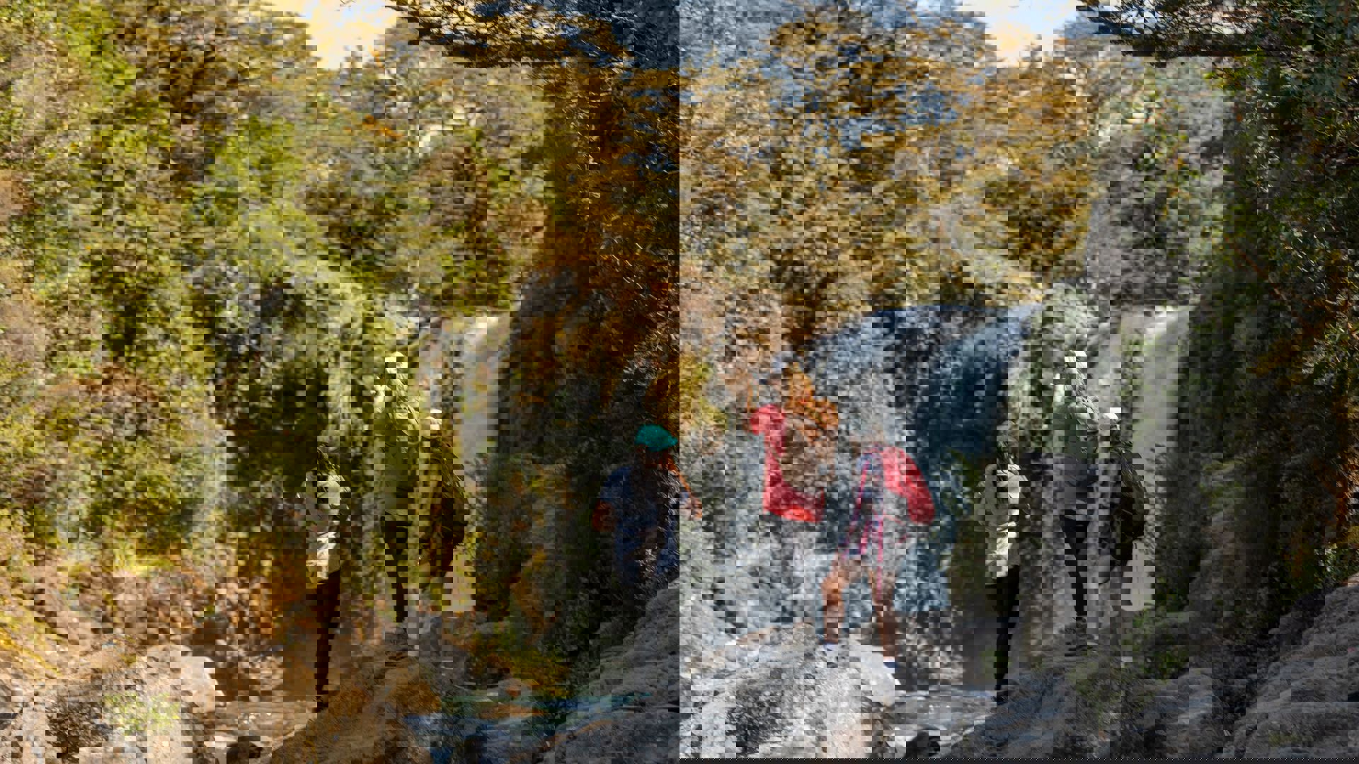 Tawhai Waterfall Walking and Hiking Visit Ruapehu