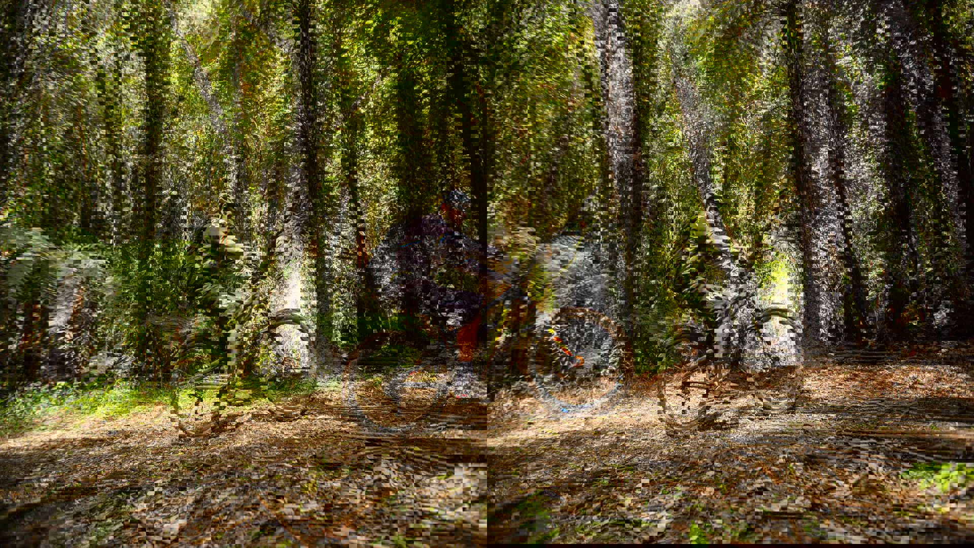 42 Traverse Visit Ruapehu