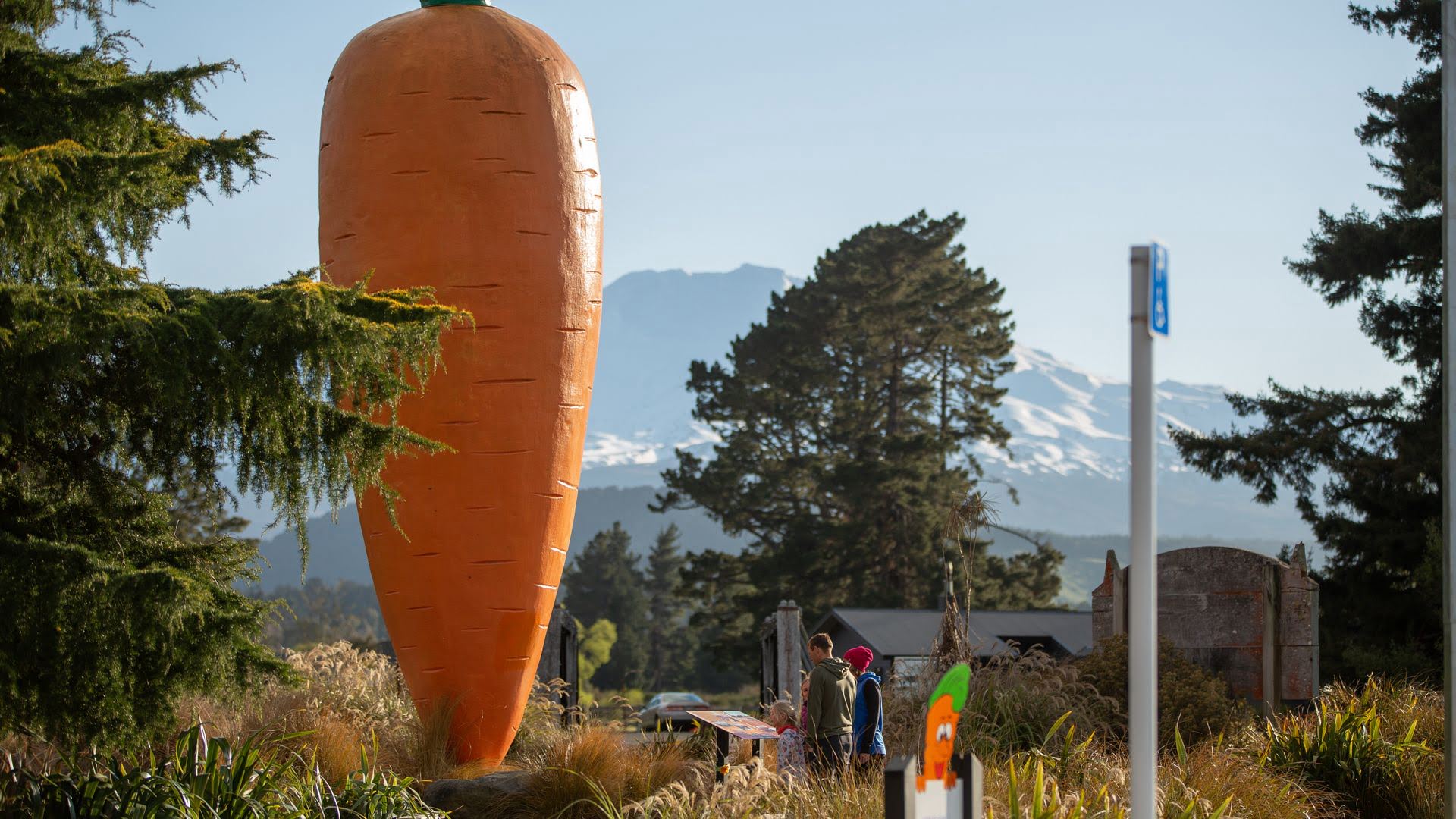 Ohakune Carrotland Adventure Park - Visit Ruapehu