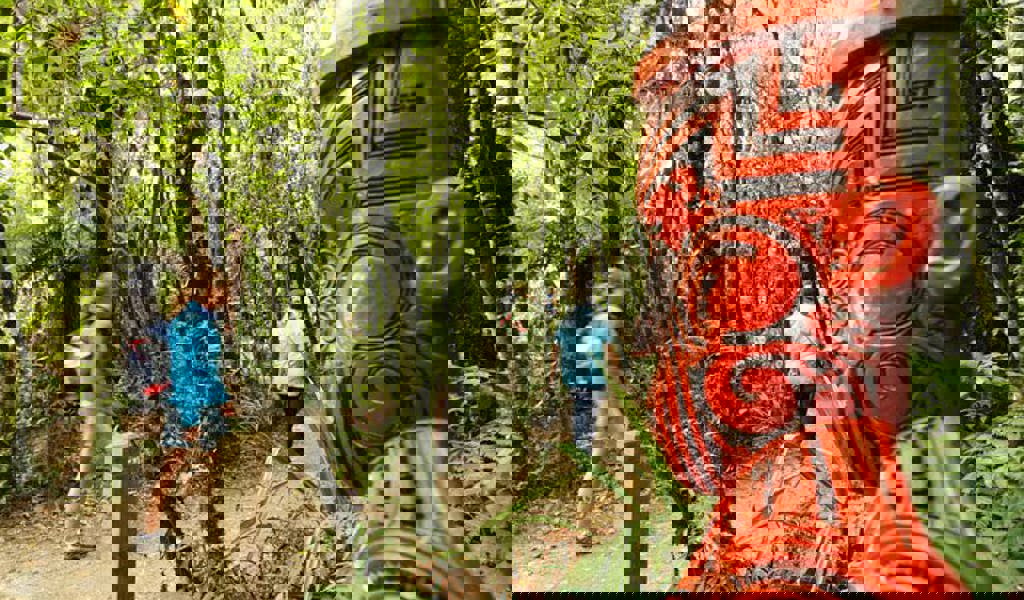 Walks In The Pureora Forest | Visit Ruapehu